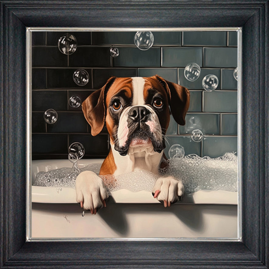 Boxer Dog Bubble Bath – House to Home Interiors